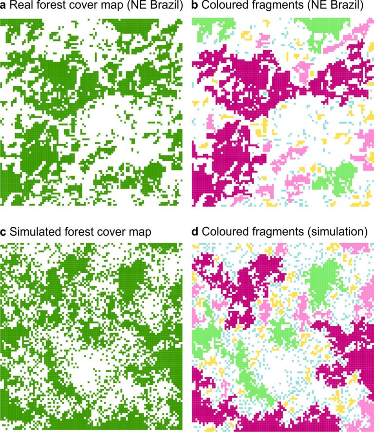 The 187/91 scaling rule of global tropical forest fragmentation – FORMIND
